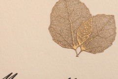 Dara Lauren Wedding Invitation - Precise Continental